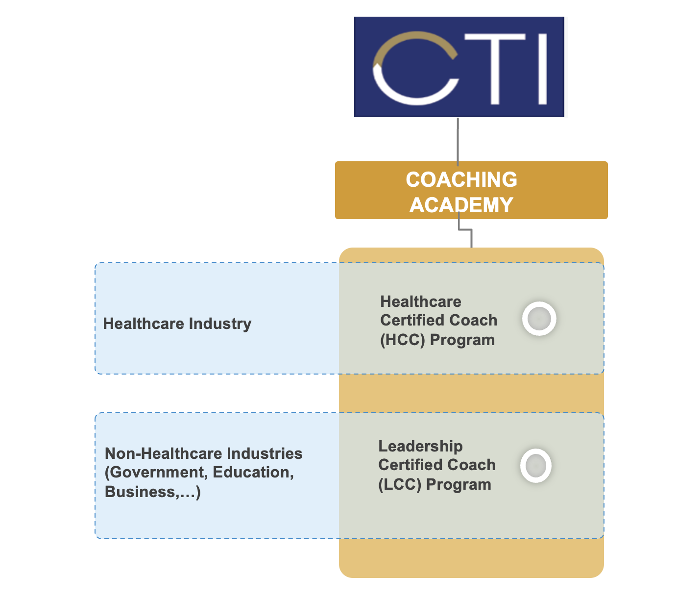 CTI Coaching Academy | Developing Certified Coaches